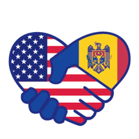 România vs SUA - Sentinta